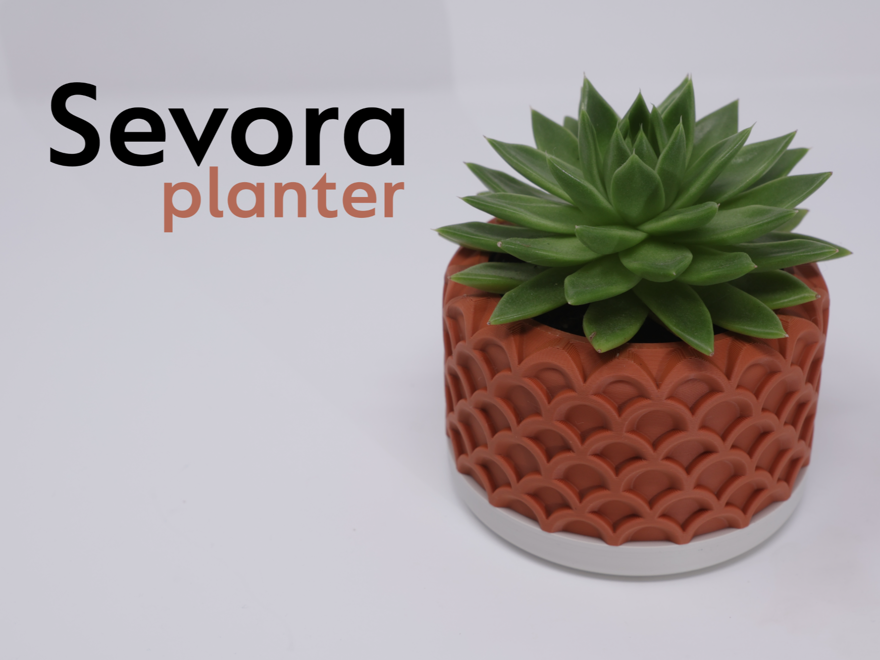 Sevora Planter - Trusted Developments | Nexprint: Free 3D Model Downloads