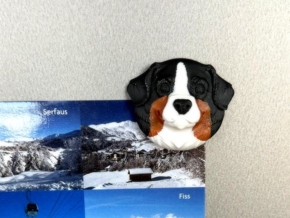 Bernese Mountain Dog head - Fridge magnet - Real_Prints | Nexprint ...