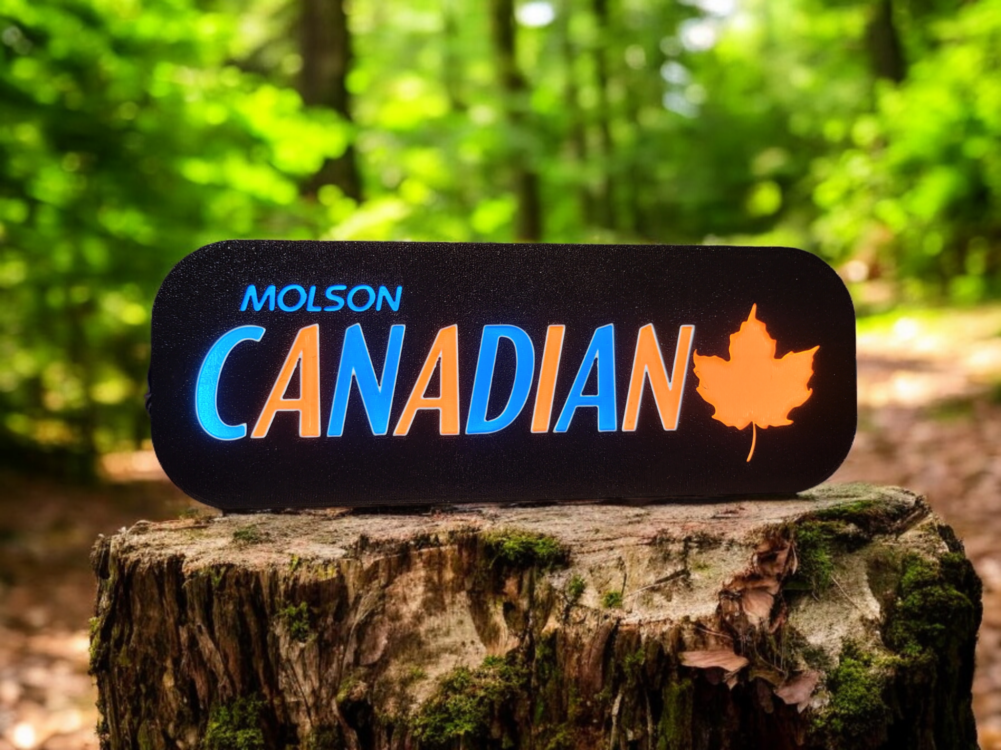 Molson Canadian LED Lamp - tys3dprinting | Nexprint: Free 3D Model ...