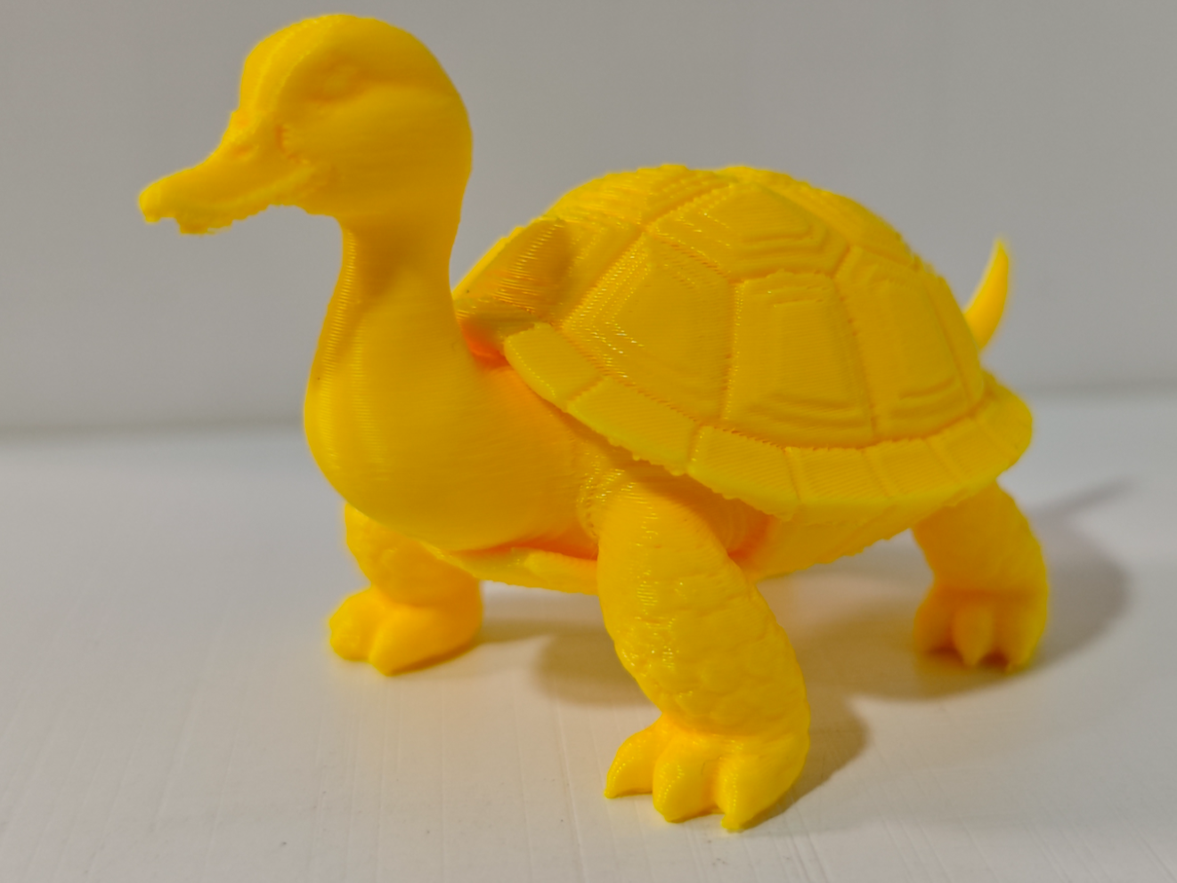 Duck-Turtle Hybrid – The Cosmic Savior - U0082373417 | Nexprint: Free ...
