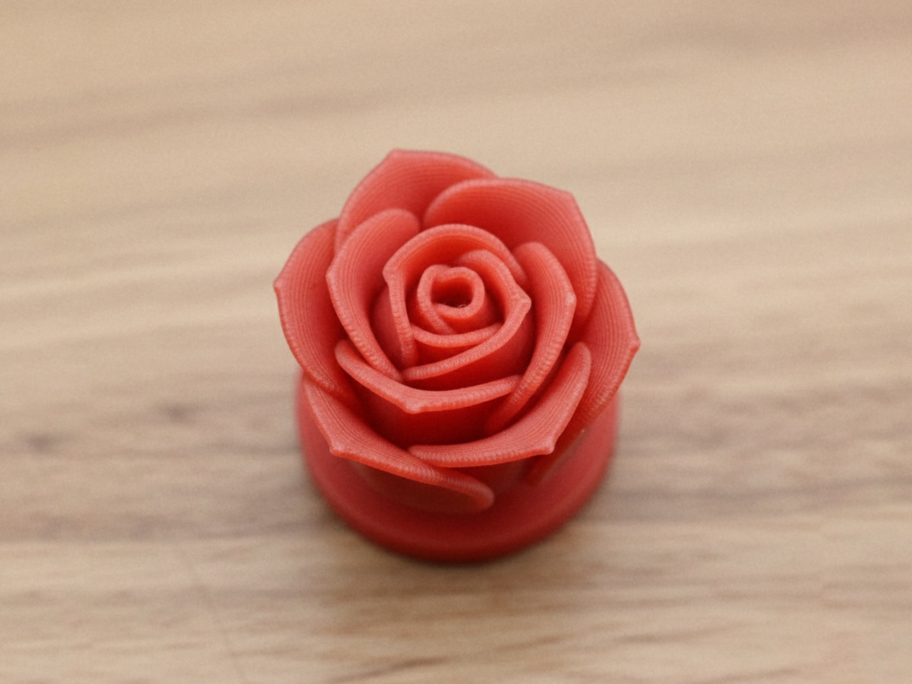 Cute Rose Bude for Valentines Day - NextPrint 3D Model | 3Drop