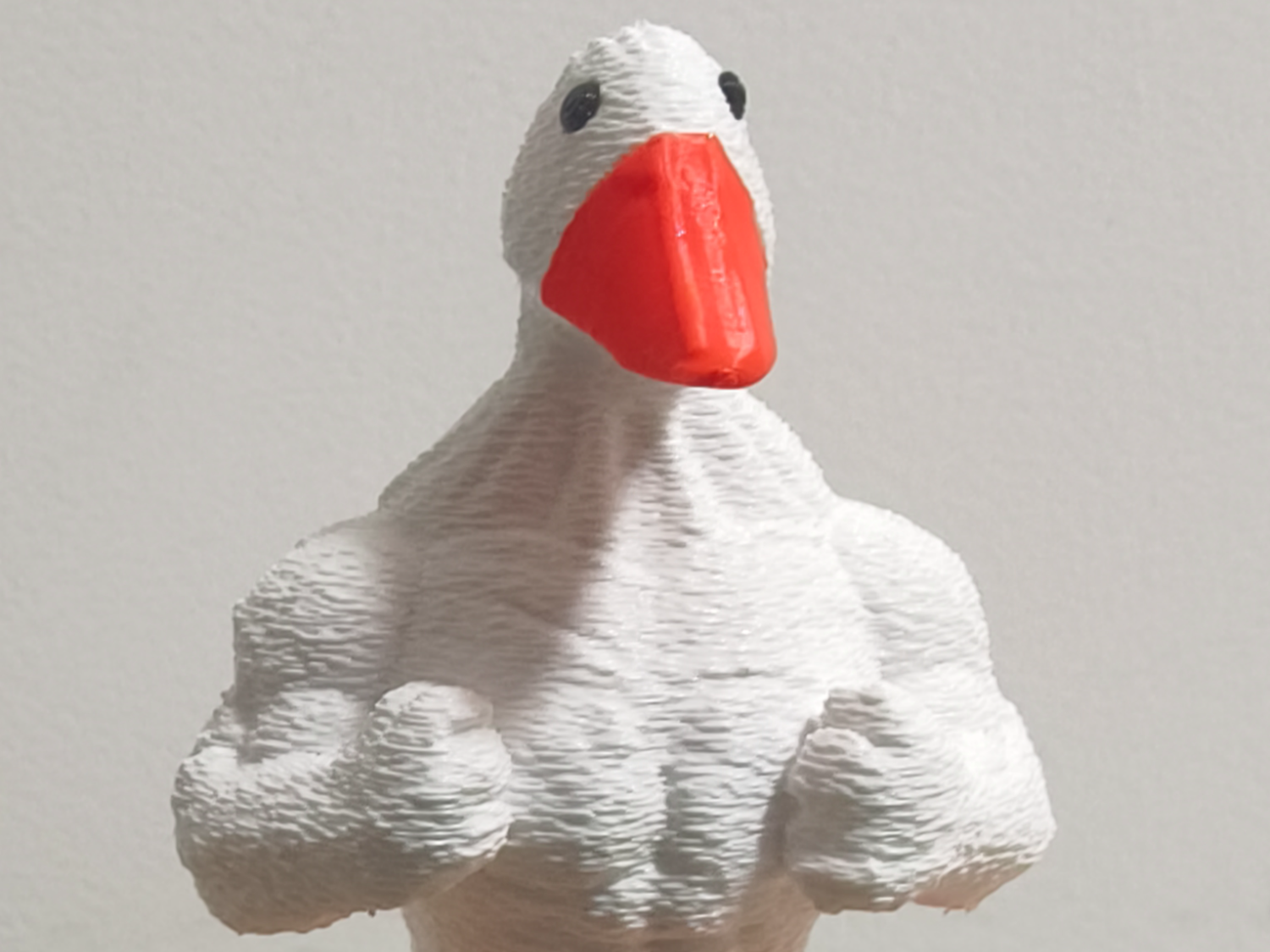 Muscle Duck – Copy - 耍蛇的 | Nexprint: Free 3D Model Downloads