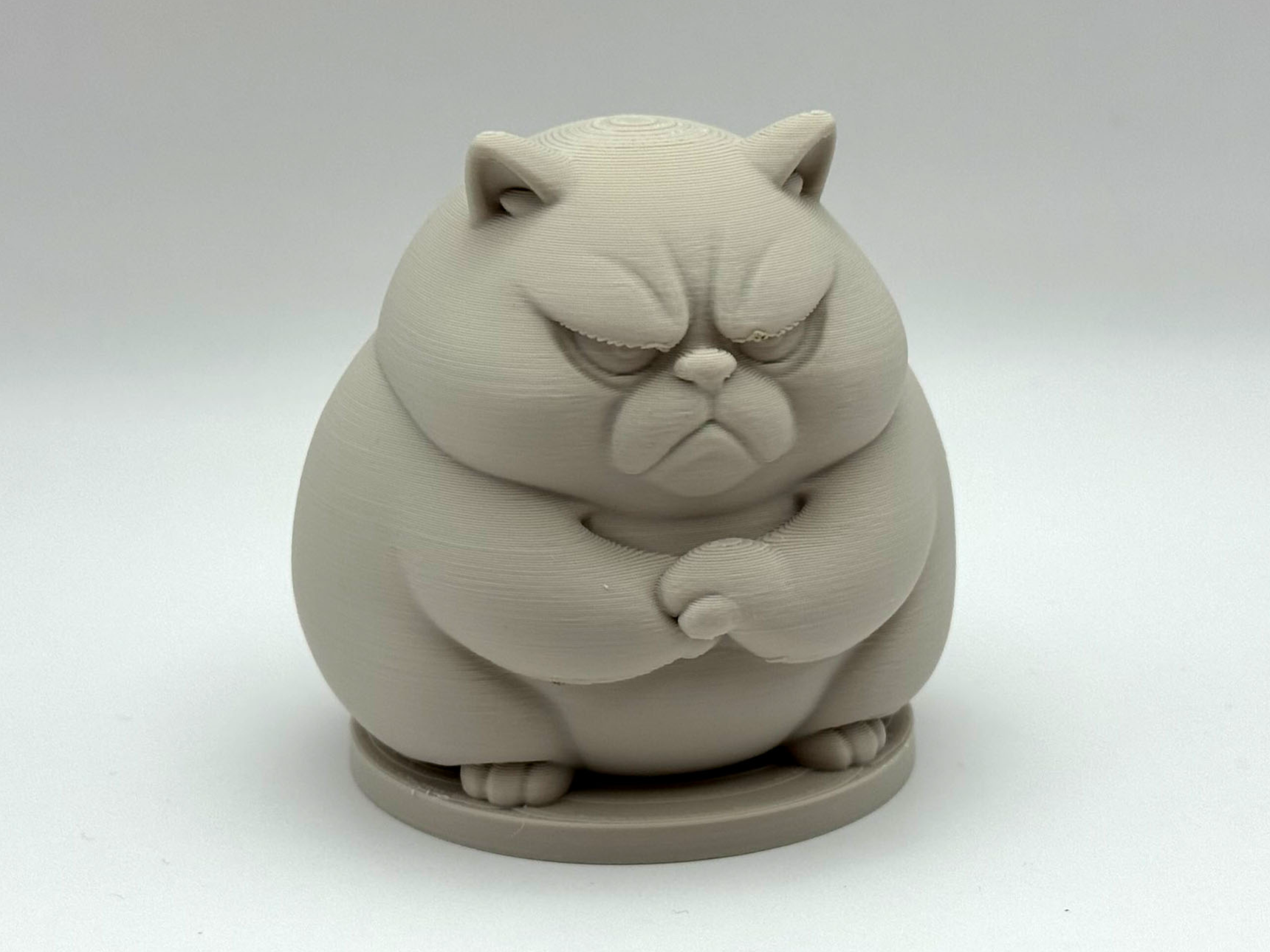 Grumpy Chonk Cat - Stigern | Nexprint: Free 3D Model Downloads