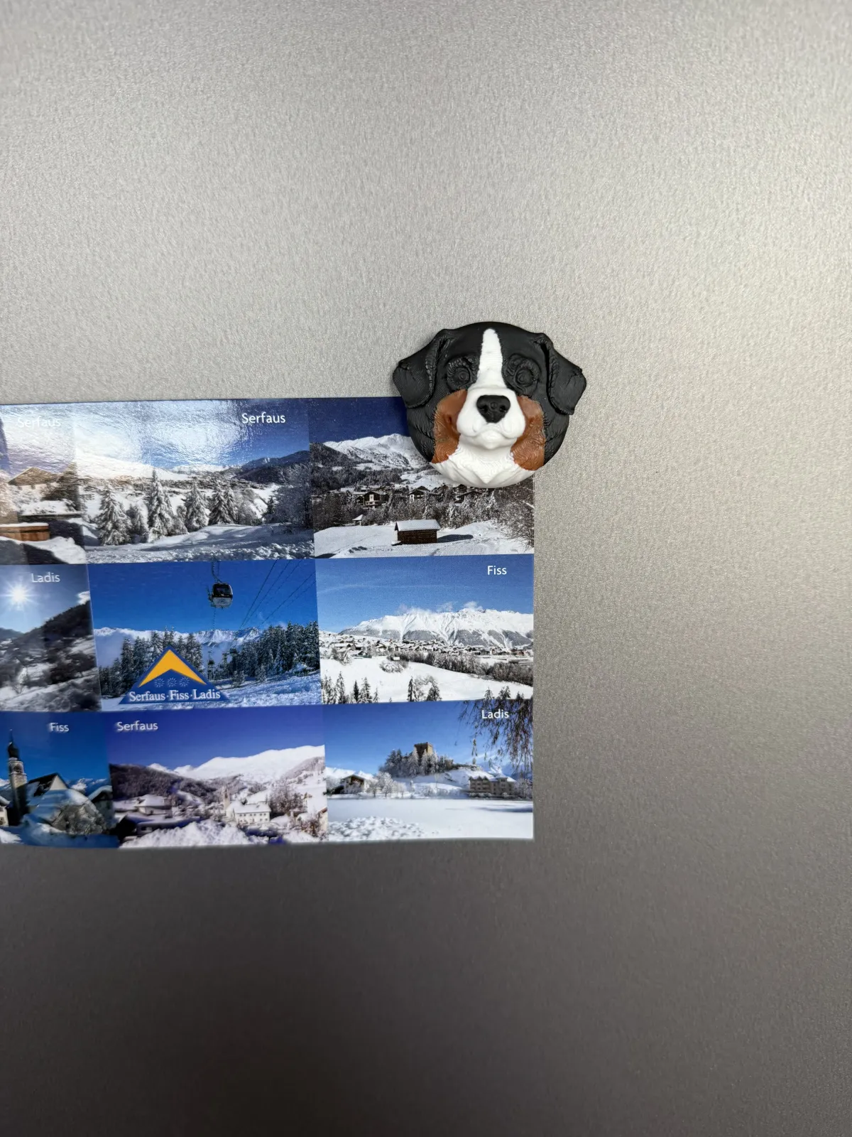 Bernese Mountain Dog head - Fridge magnet - Real_Prints | Nexprint ...